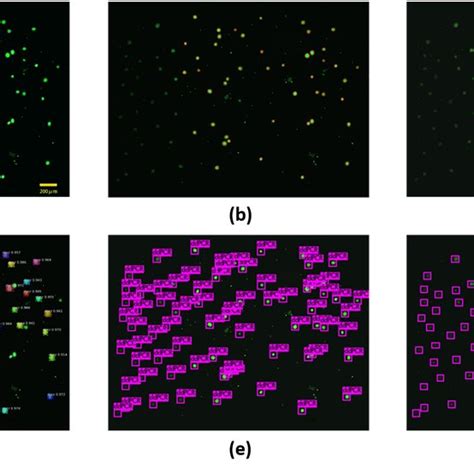 Detection Results For Irregular Noise A Image Of Chip Based Dpcr Download Scientific Diagram
