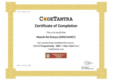 Programming Cprogramming Learning Codetantra Achievement Sai
