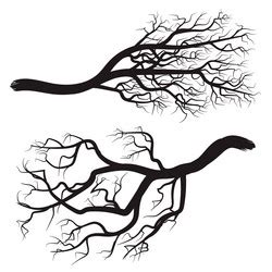 Tree Branch Silhouette Collection Royalty Free Vector Image