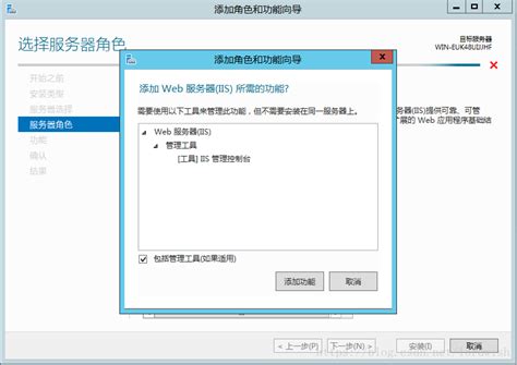 全能程序员系列（5） iis安装及配置 iis 要勾选远程访问吗 csdn博客