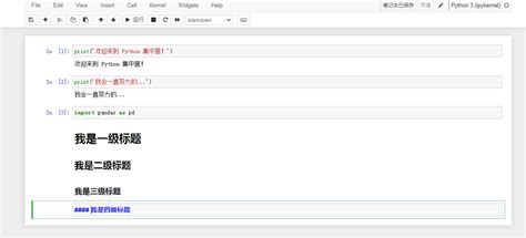 python笔记记录神器 jupyter notebook python记笔记用什么软件 CSDN博客