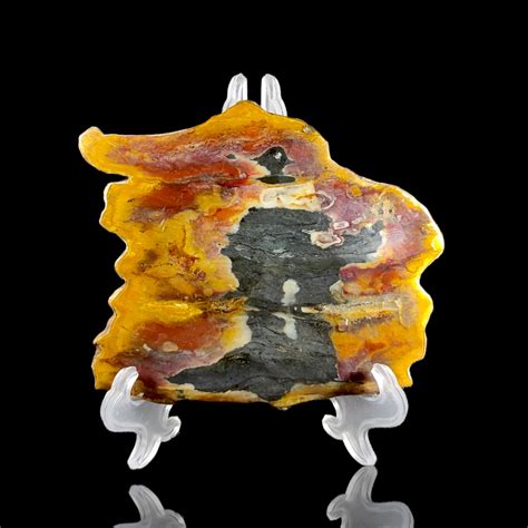 Jual 179GR Natural Slice Picture Petrified Wood Slice Fosil Kayu Resin Shopee Indonesia