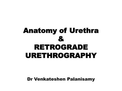 Retrograde Urethrogram For Urology Residents Pptx