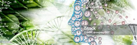 다양한 크기의 시계 다이얼로 구성된 사람의 얼굴 윤곽 이미지 0명에 대한 스톡 사진 및 기타 이미지 0명 개념 개념과 주제 Istock