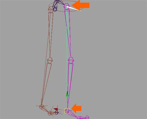Build A Human Character Rig In Maya And Spline Ik With Cluster