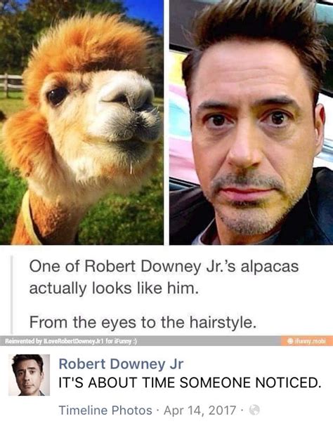 Rdj On Facebook Marvel Avengers Funny Marvel Funny Funny Marvel Memes