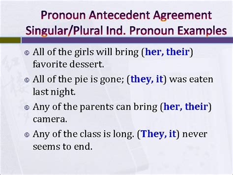 Pronoun Antecedent Agreement Ninth Grade English Pronoun Antecedent
