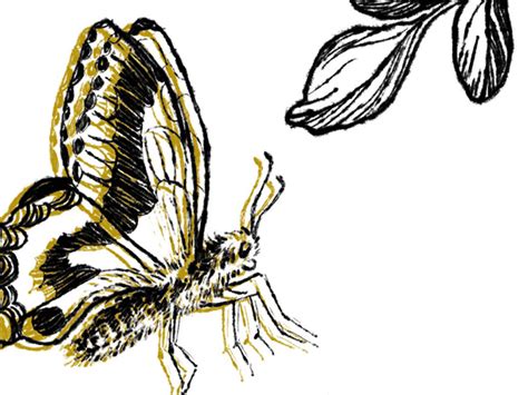 Pattern Project Design 1 On Behance