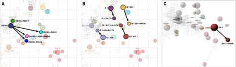 Mapping Sars Cov 2 Antigenic Relationships And Serological Responses