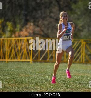 The Finish Line At The Ncaa Cross Country Championships At The Greiner