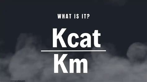 What Is Kcatkm In Enzyme Kinetics Sciencecodons
