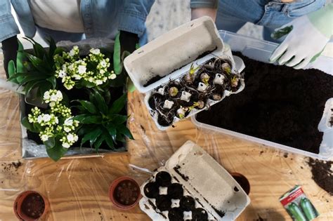 Free Photo Adult Reusing Objects In Creative Ways