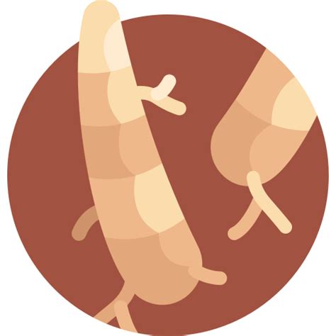 Arrowroot Detailed Flat Circular Flat Icon