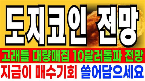 도지코인 전망 긴급속보 대형속보 고래들 대량매집 10달러돌파 전망 지금이 매수기회 쓸어담으세요 세력 미쳤다 매집여부 확인합시다 분명 예언했습니다 Youtube