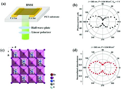 polarization sensitive photodetection of the bmsi based photodetector