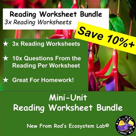 Plant Evolution And Diversity Mini Unit Reading Worksheet Bundle Tpt