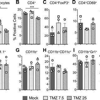 FACS Analysis Of Splenocytes Following TMZ Treatment The Same Download Scientific Diagram