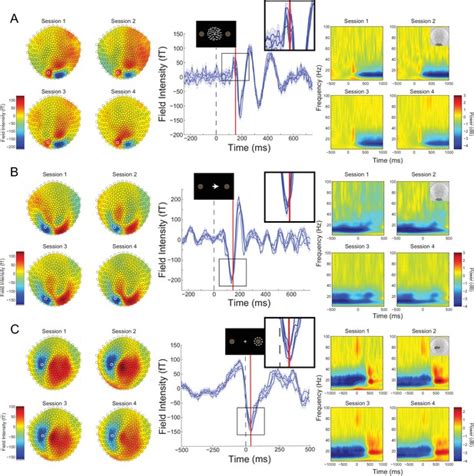 Figures And Data In Lamina Specific Cortical Dynamics In Human Visual And Sensorimotor Cortices
