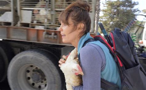 ‘baywatch Star Found Not Guilty After Rescuing Chickens Destined For