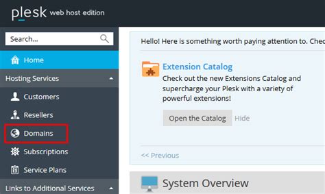 How To Add Domain And Subdomain In Plesk 24x7serversupport Blog