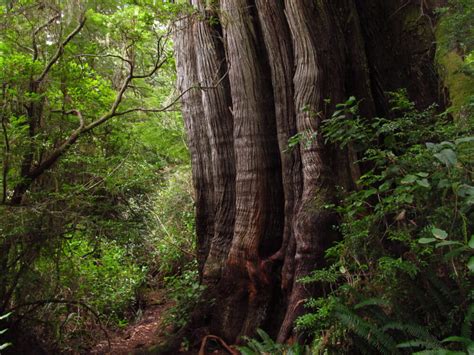 Why You Should Know And Care About Algorithmic Transparency Oxford Insights