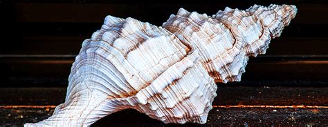 NSA Wants To Help You Lock Down MS Windows In PowerShell Security Boulevard