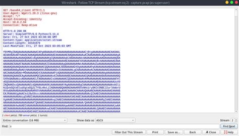Seetwo Tryhackme Walkthrough Blog