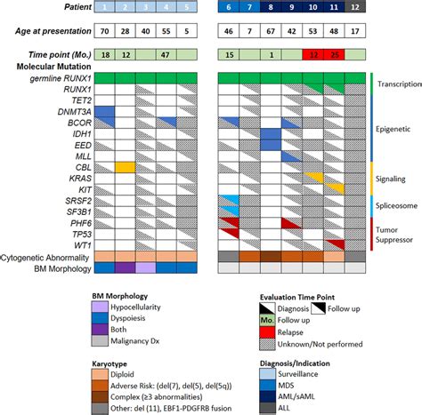 morphological cytogenetic and molecular characteristics of patients