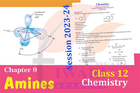 Amines Ncert Solutions