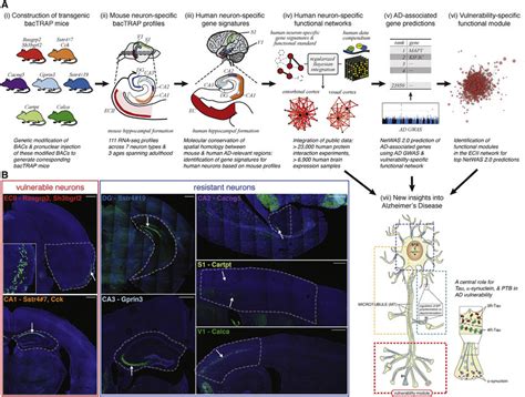 An Integrative Experimental Genomics And Bioinformatics Framework