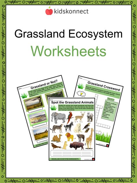 Grassland Ecosystem Worksheets Climate Animal Diversity Worksheets