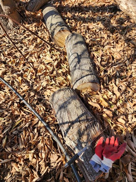 미리 메리 크리스마스 유머 움짤 이슈 에펨코리아