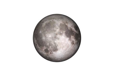 Lune Fond Blanc Banque Dimages Et Photos Libres De Droit Istock