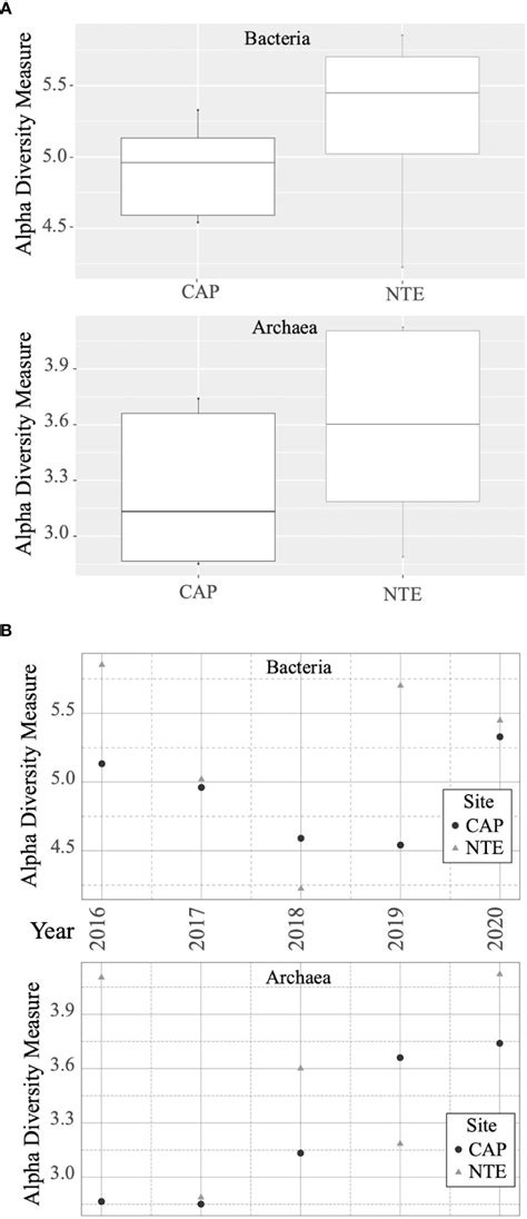 Frontiers Spatial Comparison And Temporal Evolution Of Two Marine Iron Rich Microbial Mats