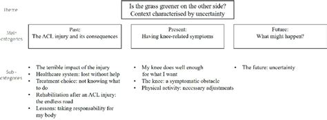 Overview Of The Theme Main Categories And Subcategories Generated From