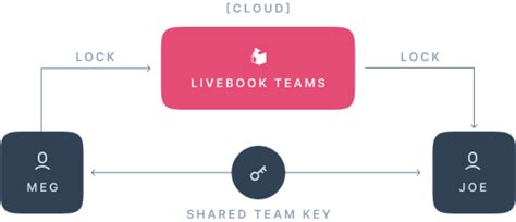 Teams Livebookdev