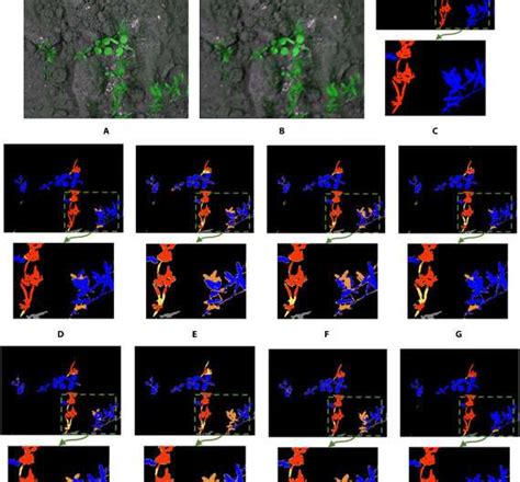 Motion Blur Gopro Player For Windows Add Features Like Motion Blur