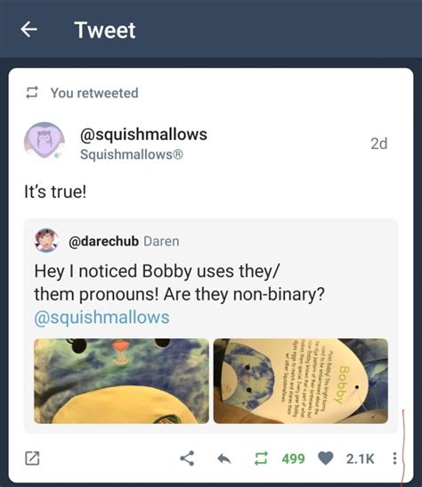 Nonbinary Squishmallow