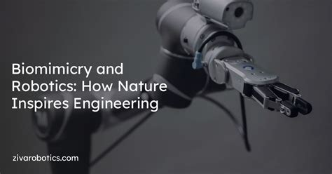Biomimicry And Robotics How Nature Inspires Engineering