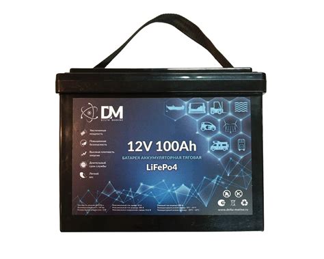 Аккумулятор DM Lifepo4 12В 100 Ач купить в интернет-магазине «Мир охоты»