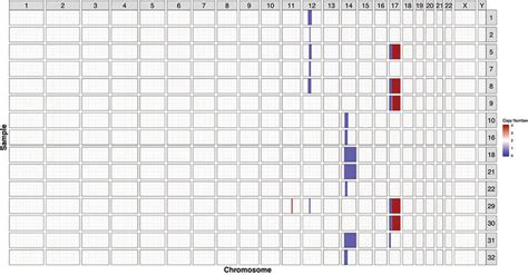 Main Recurrent Copy Number Variations Of 15 Cases Of Adenoid Cystic