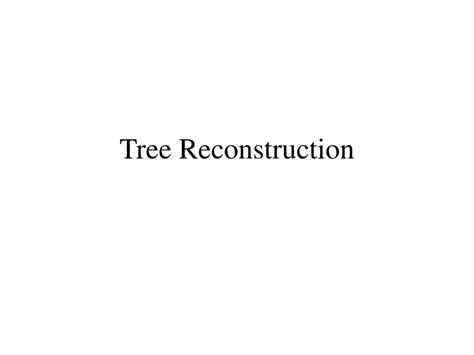 PPT Tree Reconstruction PowerPoint Presentation Free Download ID 1715157
