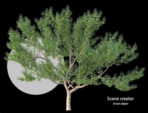 Fruit Tree PSD 200 High Quality Free PSD Templates For Download Page 2