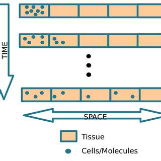Diffusion Process Schematic Representation Of The Diffusion Process Download Scientific Diagram