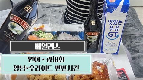 1일1술 하는 여자 Feat 연어광어회 양념후라이드 반반치킨 Youtube