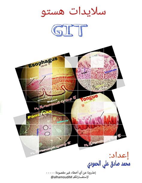 SOLUTION Slides Of Git Histology Studypool