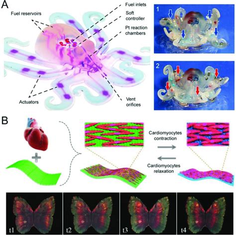 Soft Microfluidics For Robotics A Schematic Design Of The Completely Download Scientific