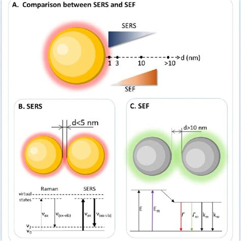 Dna Origami Assemblies For Single Molecule Sers A Nanoparticle Download Scientific Diagram