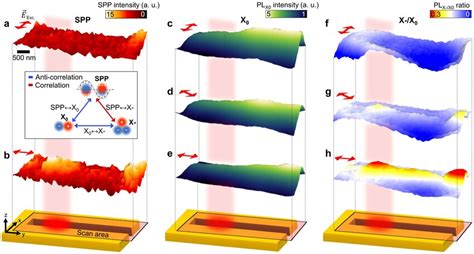 Polarization Dependent Hyperspectral Imaging Of Spp X 0 And X At Download Scientific Diagram