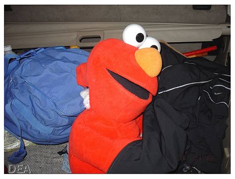 Hook Me Up Elmo The Smoking Gun
